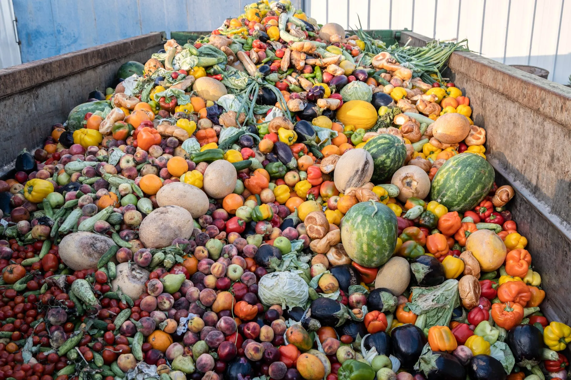 SUSTAINABLE RECIPE FOR HEALTHY PLANET – Eco Ambassador Program @ Center ...