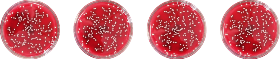 People | Microbiome Core