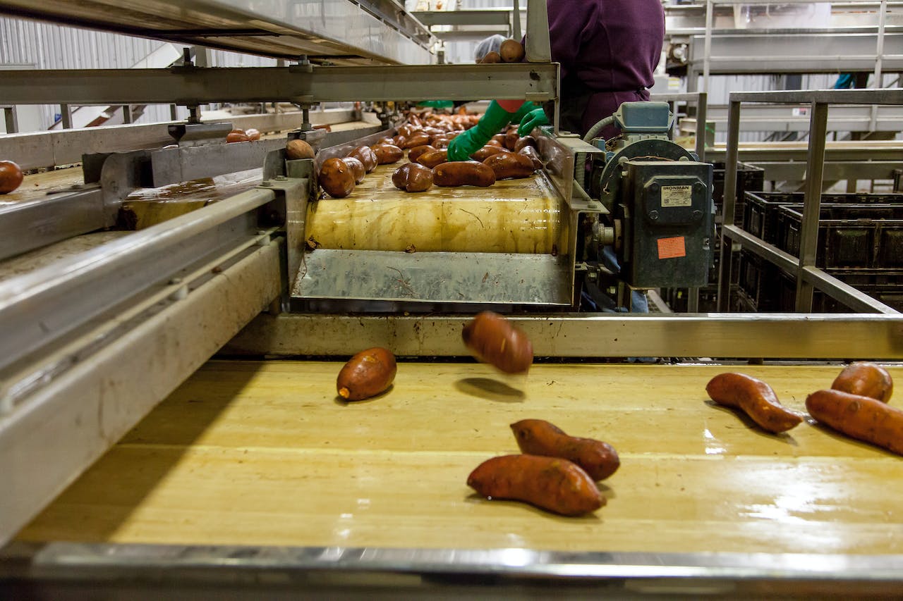 Understanding the Tech in a Food Factory: An Inside Look - tech.cu