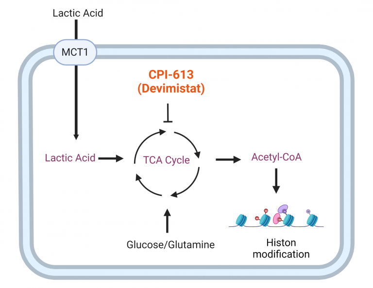 Lactic acid – a new energy fuel source in brain tumor – Columbia ...