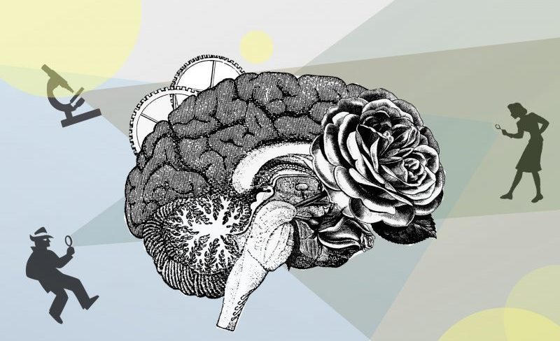 theory_image - Columbia University: Presidential Scholars in Society ...