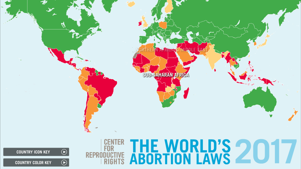 Criminalizing Abortion: A Threat to Women’s Rights and Lives – RightsViews