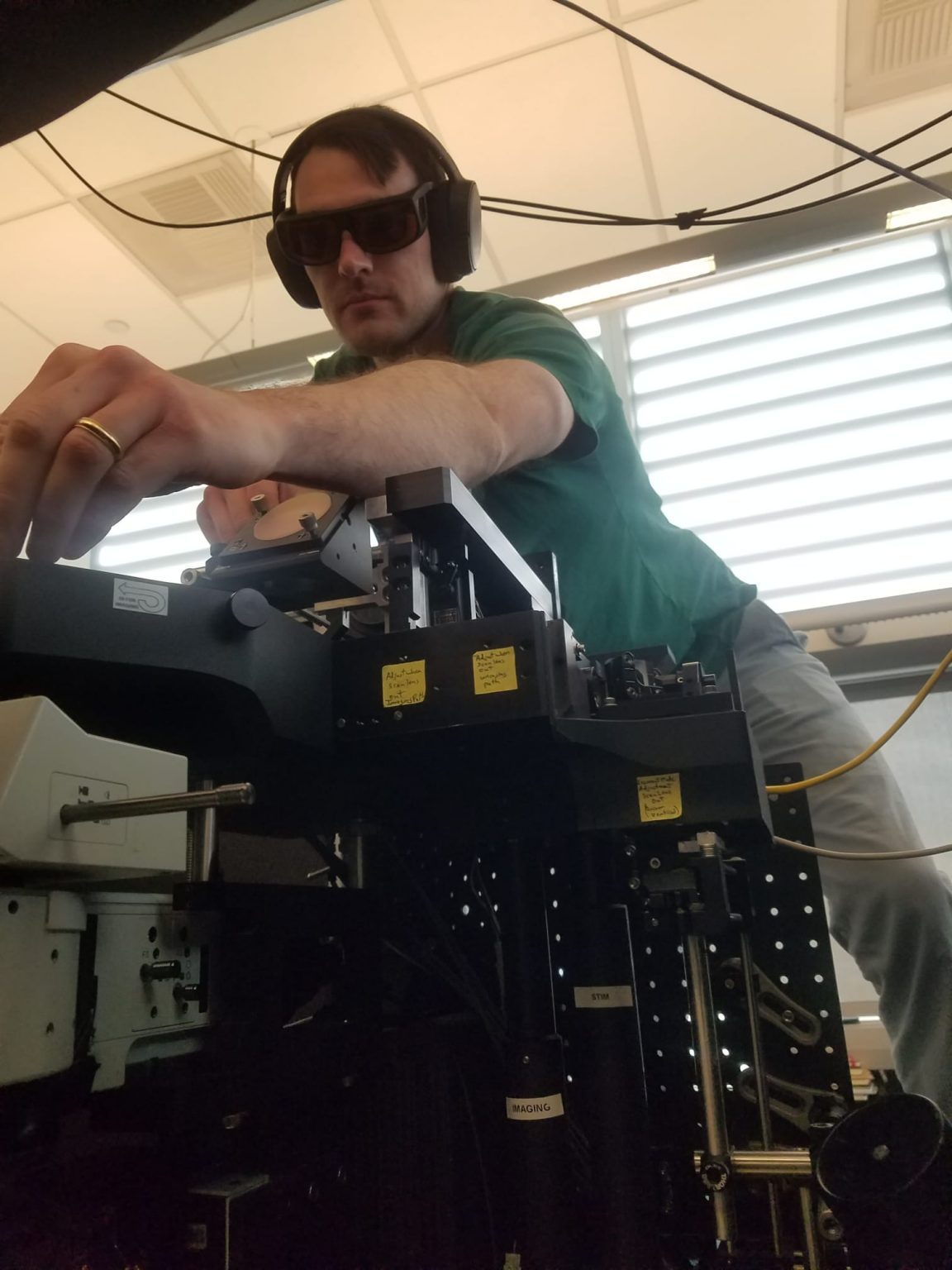 Current Lab Members | Rafael Yuste's Laboratory