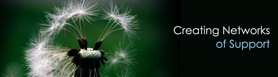 creating-networks-of-support - Social Intervention Group