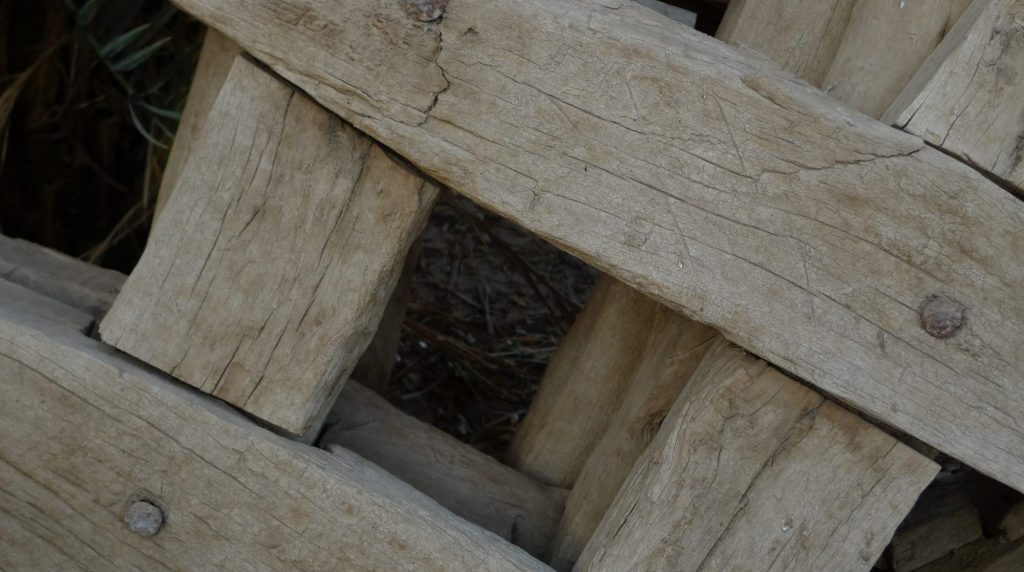 Teaching – Timothy Mitchell